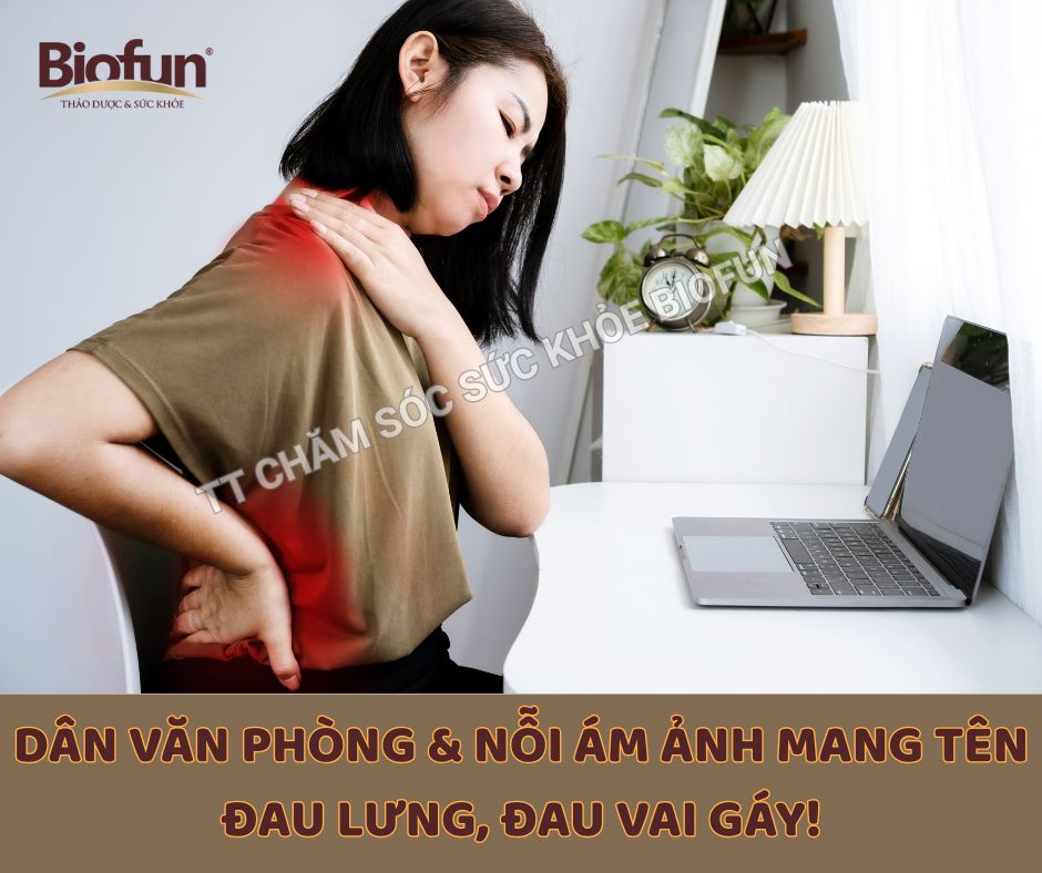 Dân văn phòng và cơn ác mộng mang tên đau lưng, đau vai gáy. Giải pháp vàng phục hồi cột sống ...